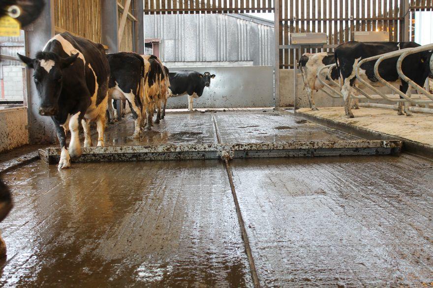 Slurry Management - Cowcare Systems Ireland
