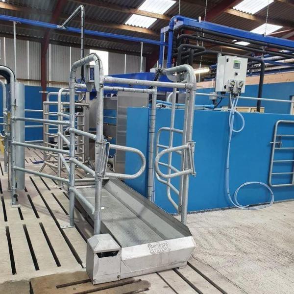 Footbath automation made easy for Dairy Cows – Cowcare Systems