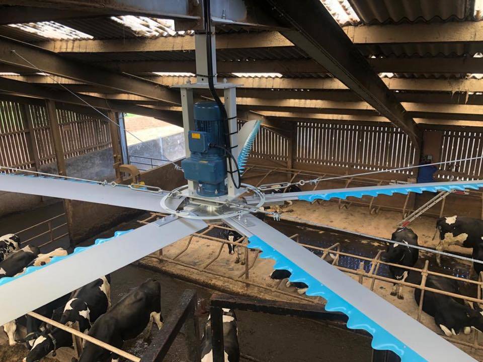 HVLS-Fan - Cowcare Systems Ireland